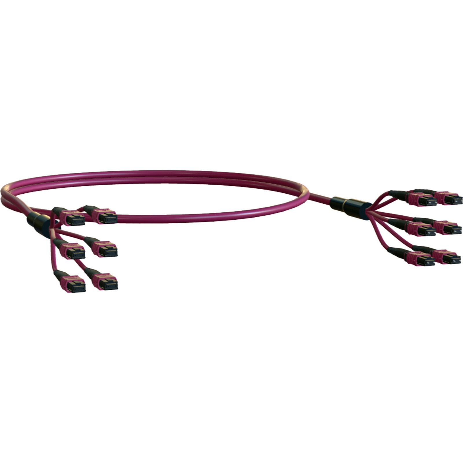 208-08-OM4-48-MPOF-MPOM-B005 - Elevate Base8 OM4 48 Fibre MPO Female to ...